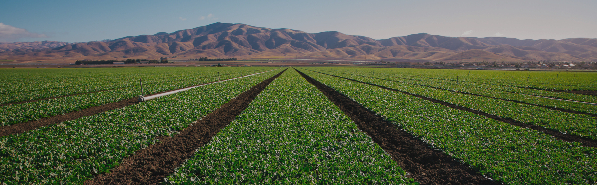 Western Growers Member Benefits & Services Western Growers Association