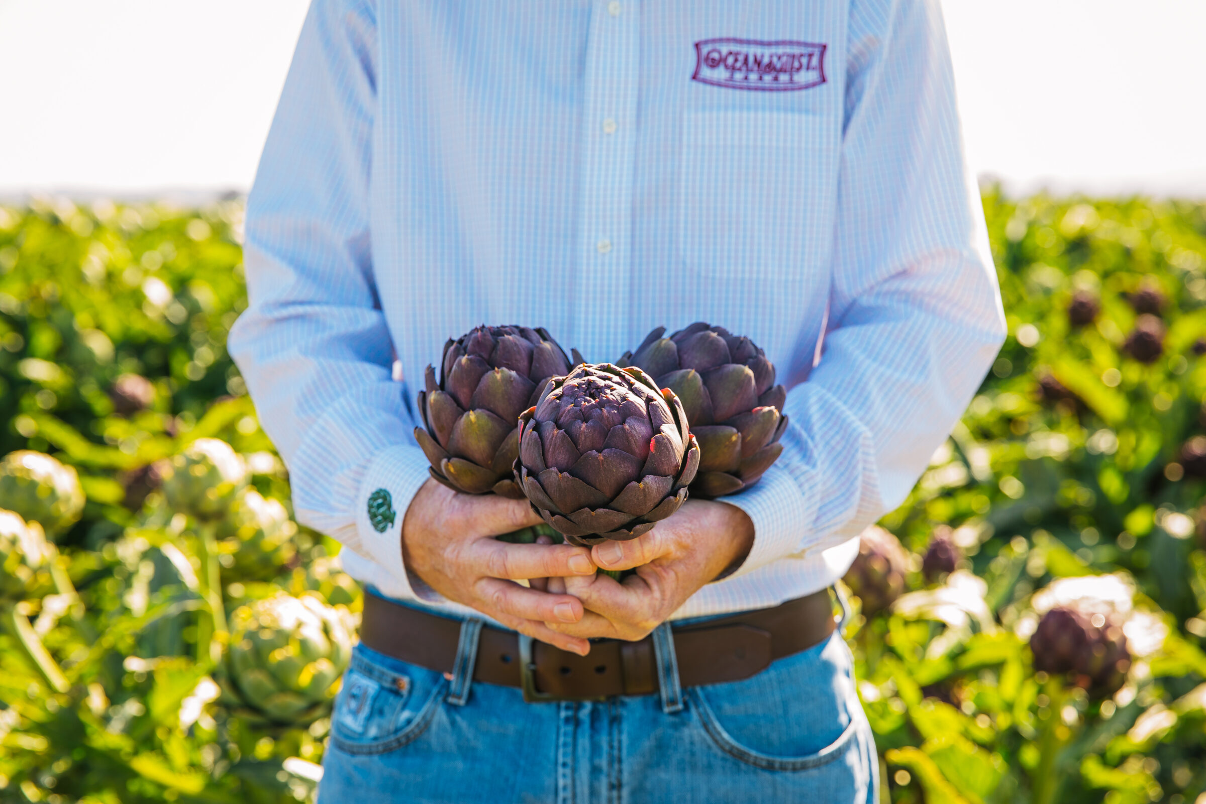 Woolf Farming Company Featured in "America's Heartland" - Western ...