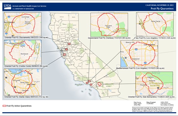 USDA Strategy Aims to Detect, Mitigate, and Prevent Invasive Fruit ...
